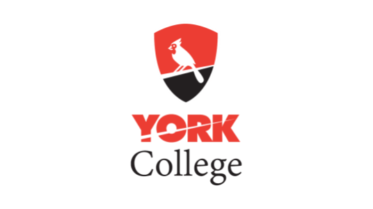 York College Now STEM Research Academy - NYC Science Research Mentoring ...